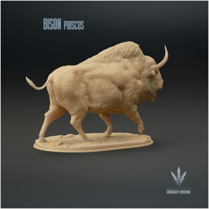 3D Printable Bison priscus : Running by Miniature Museum