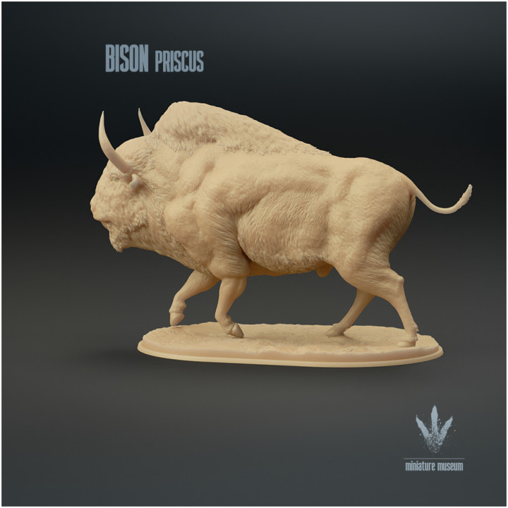 3D Printable Bison priscus : Running by Miniature Museum