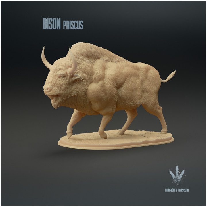 3D Printable Bison priscus : Running by Miniature Museum