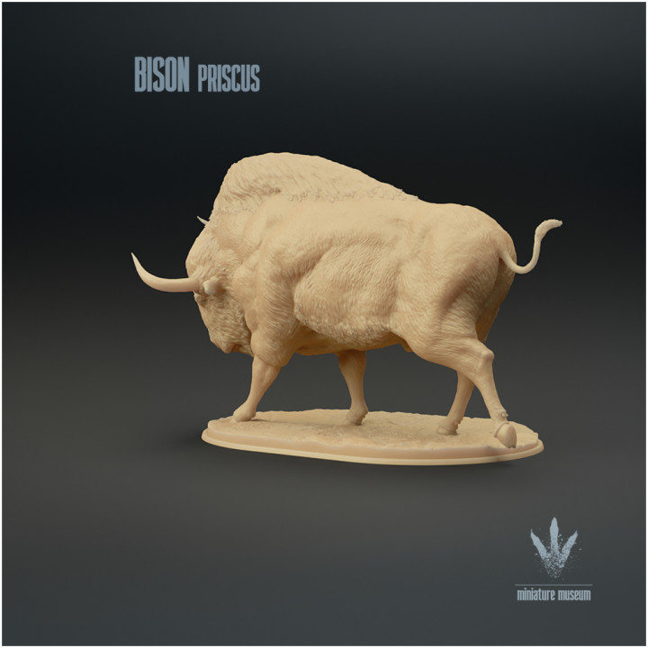 3D Printable Bison priscus : Display by Miniature Museum