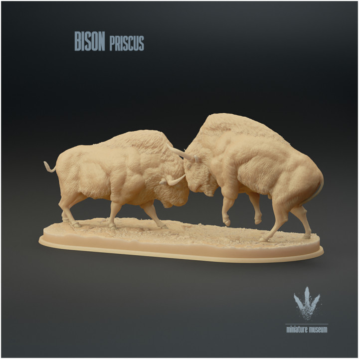 3D Printable Bison priscus : Fighting by Miniature Museum