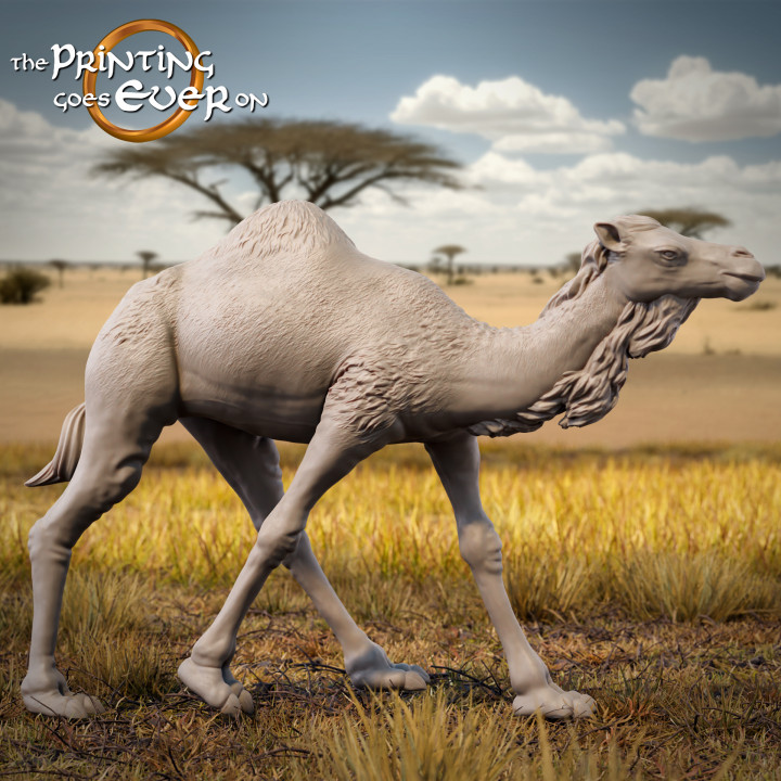 3D Printable Dromedary Camel - Presupported by The Printing Goes Ever On