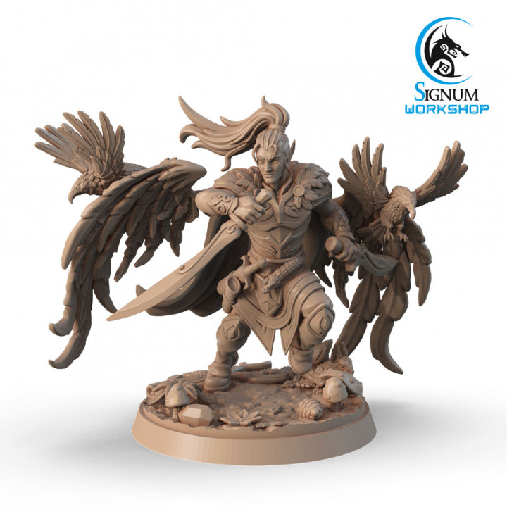 3D Printable Cael Ravenwing, Pathfinder by Signum Workshop