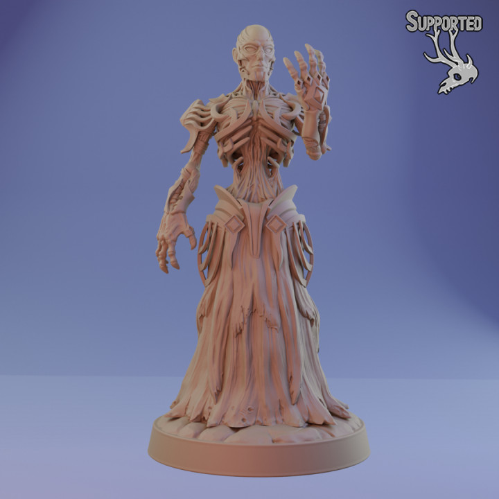 3D Printable Vecna 5e Version by Zio
