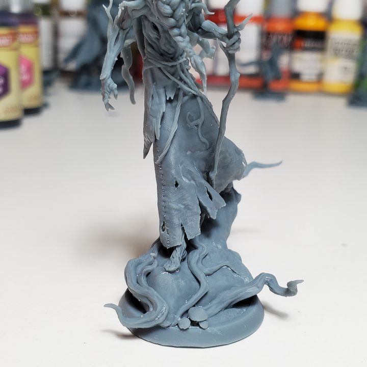 3D Print of Lechy by pottscolley