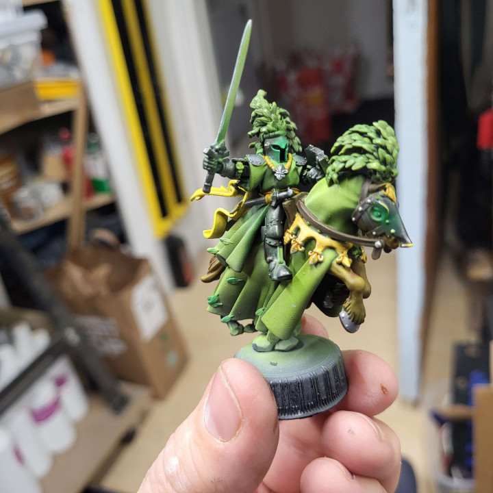 3D Print of The Green Knight - Highlands Miniatures by stewelundin