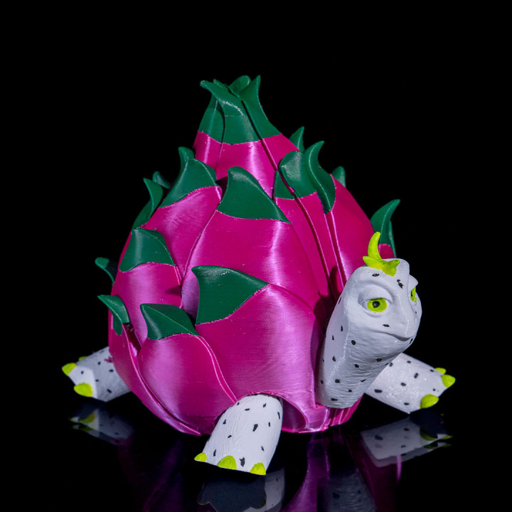 3D Printable Turtle Fruit by Stlflix