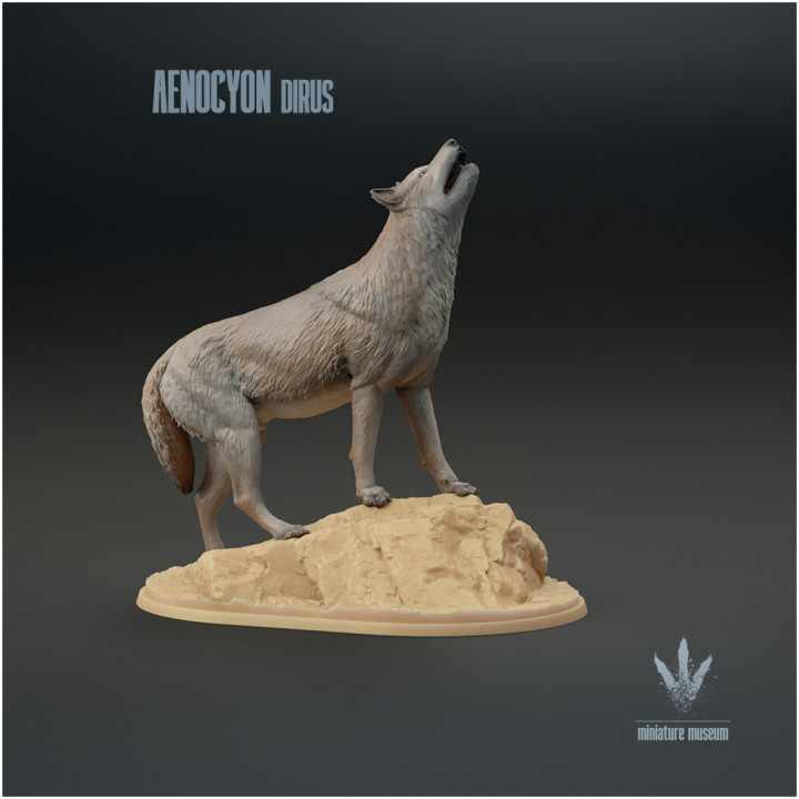 3D Printable Aenocyon dirus : Howling by Miniature Museum