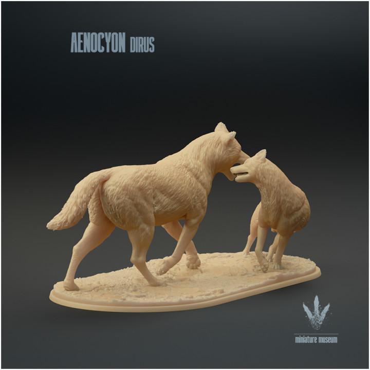 3D Printable Aenocyon dirus : Fighting by Miniature Museum