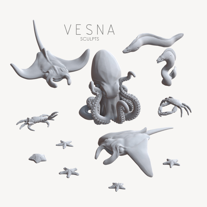 3D Printable NAUTICAL CREATURES by VESNA SCULPTS