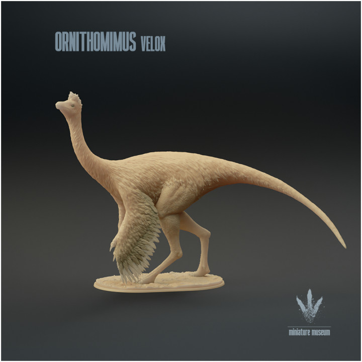 3D Printable Ornithomimus velox : The Bird Mimic by Miniature Museum