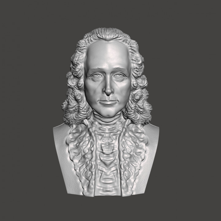 3D Printable Voltaire - High-Quality STL File for 3D Printing (PERSONAL ...