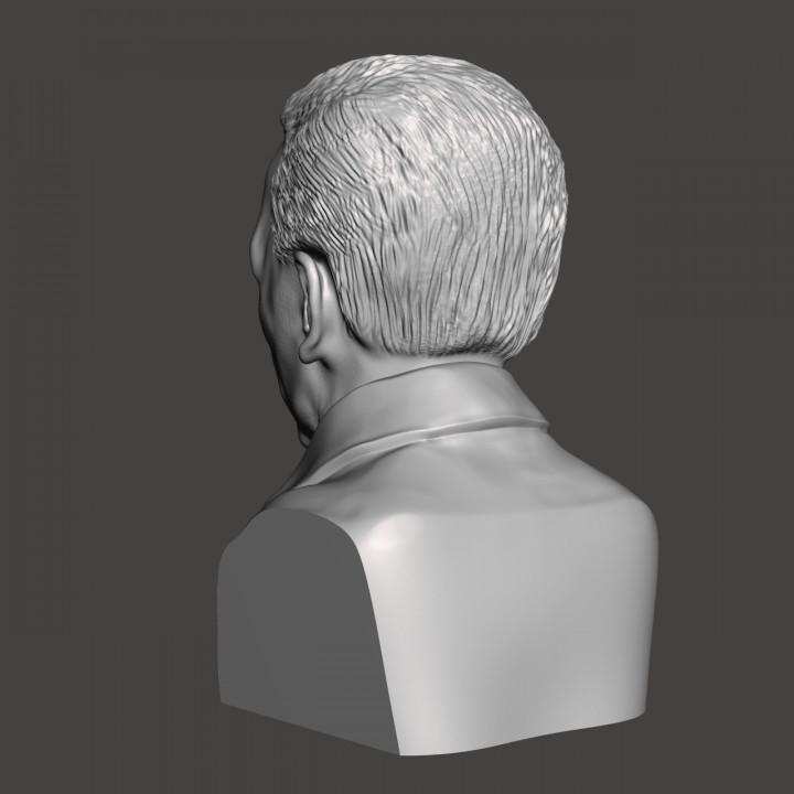 3D Printable Alexander Fleming - High-Quality STL File for 3D Printing ...