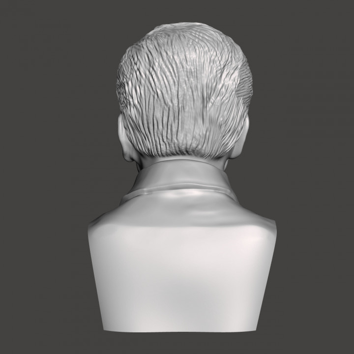 3D Printable Alexander Fleming - High-Quality STL File for 3D Printing ...