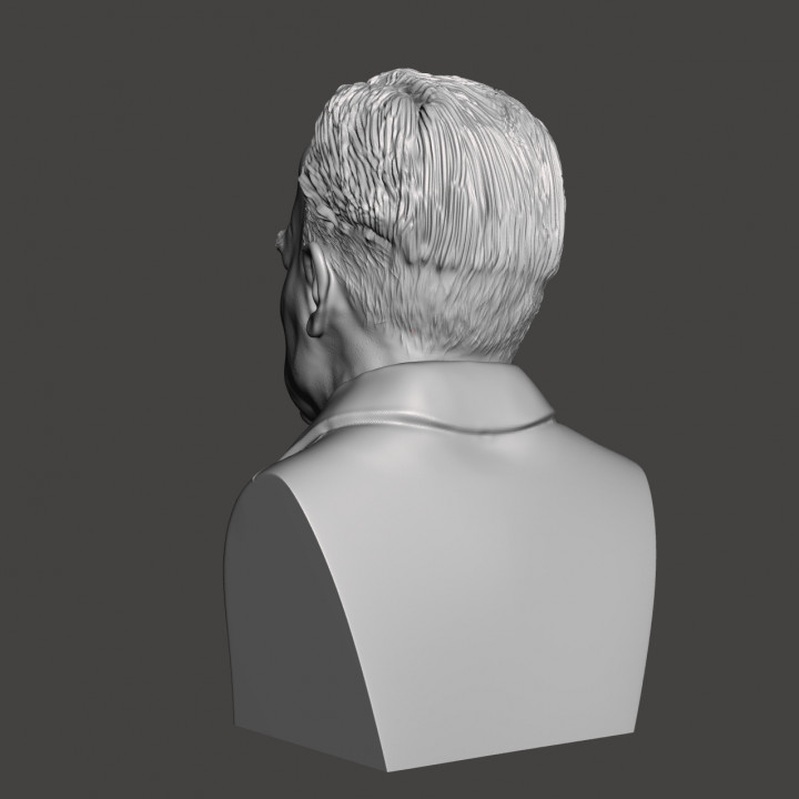 3D Printable Otto Hahn - High-Quality STL File for 3D Printing ...