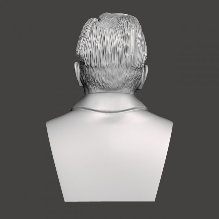 3D Printable Otto Hahn - High-Quality STL File for 3D Printing ...