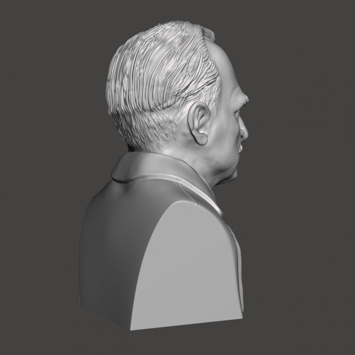 3D Printable Otto Hahn - High-Quality STL File for 3D Printing ...