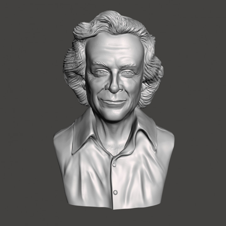 3D Printable Richard Feynman - High-Quality STL File for 3D Printing ...