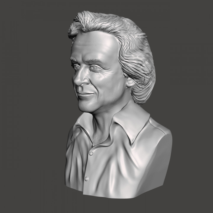3D Printable Richard Feynman - High-Quality STL File for 3D Printing ...