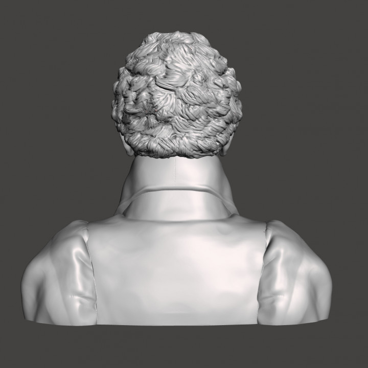 3D Printable Thomas Young - High-Quality STL File for 3D Printing ...