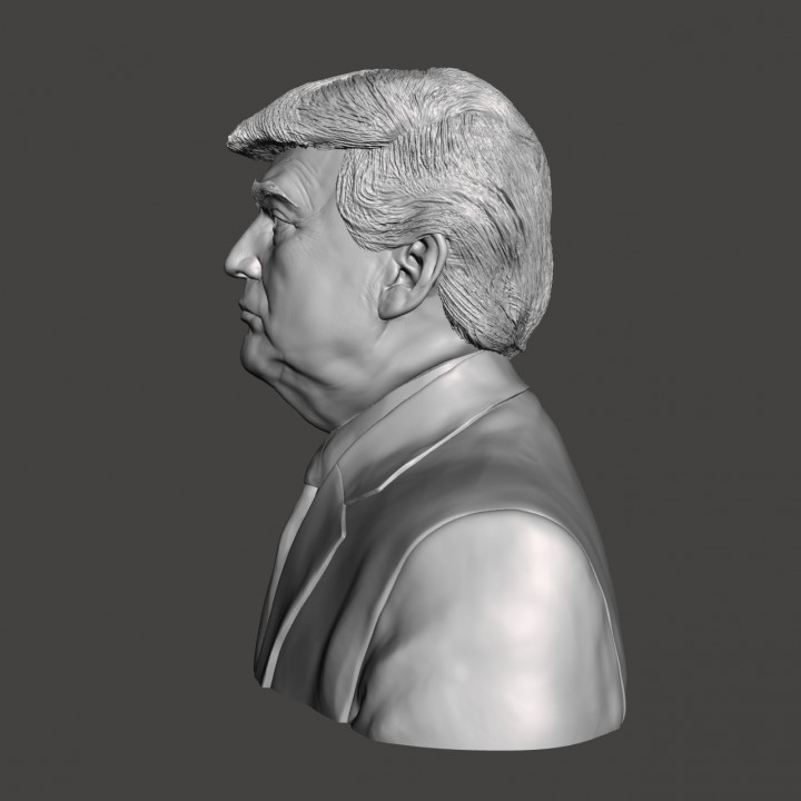 3D Printable Donald Trump - High-Quality STL File for 3D Printing ... 3D Printable Donald Trump - High-Quality STL File for 3D Printing ...