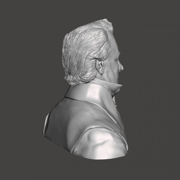 3D Printable James Buchanan - High-Quality STL File for 3D Printing ...