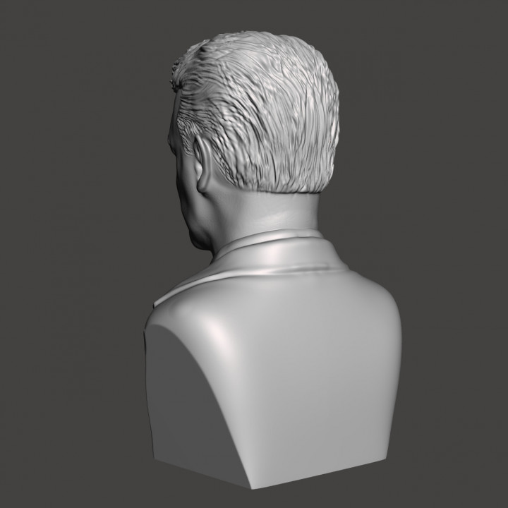 3D Printable F. Scott Fitzgerald - High-Quality STL File for 3D ...