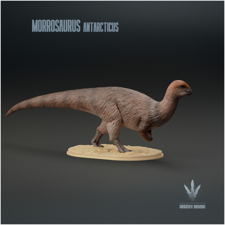 3D Printable Morrosaurus antarcticus : The El Morro Reptile by ...