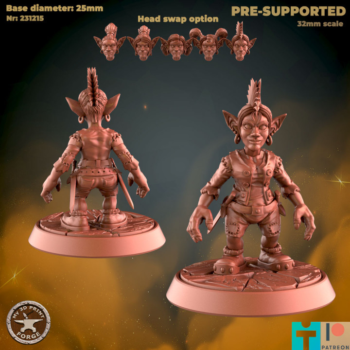 3D Printable Goblin Female Rogue Pack by My3DPrintForge