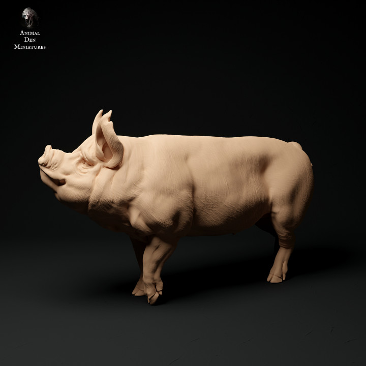 3D Printable Berkshire Pigs and Boars Bundle Set by Animal Den Miniatures