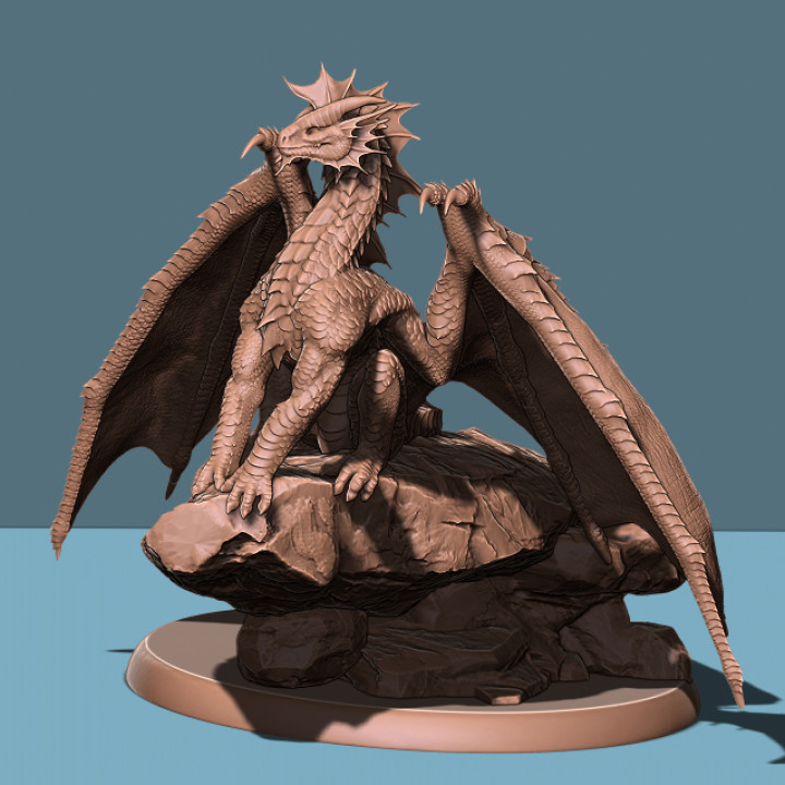 3D Printable Silver Dragon Pack by Little Shop of Sigil