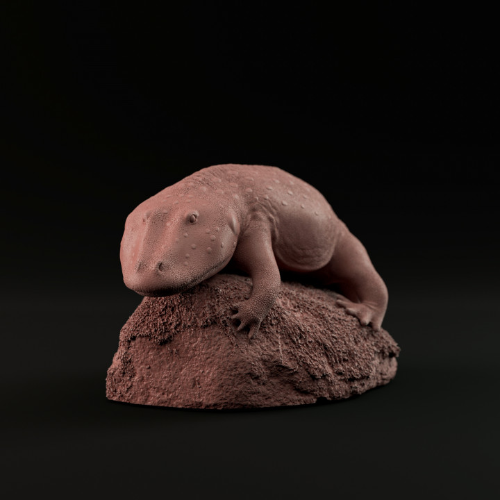 3D Printable Eryops resting 1-35 scale pre-supported triassic animal by ...