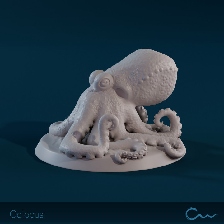 3D Printable Octopus by The Cape Wyrm