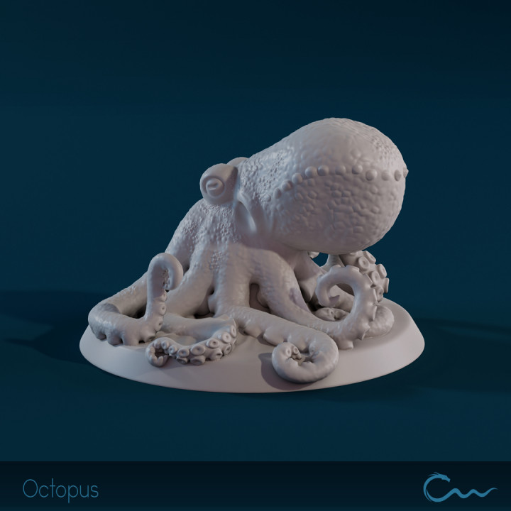 3D Printable Octopus by The Cape Wyrm