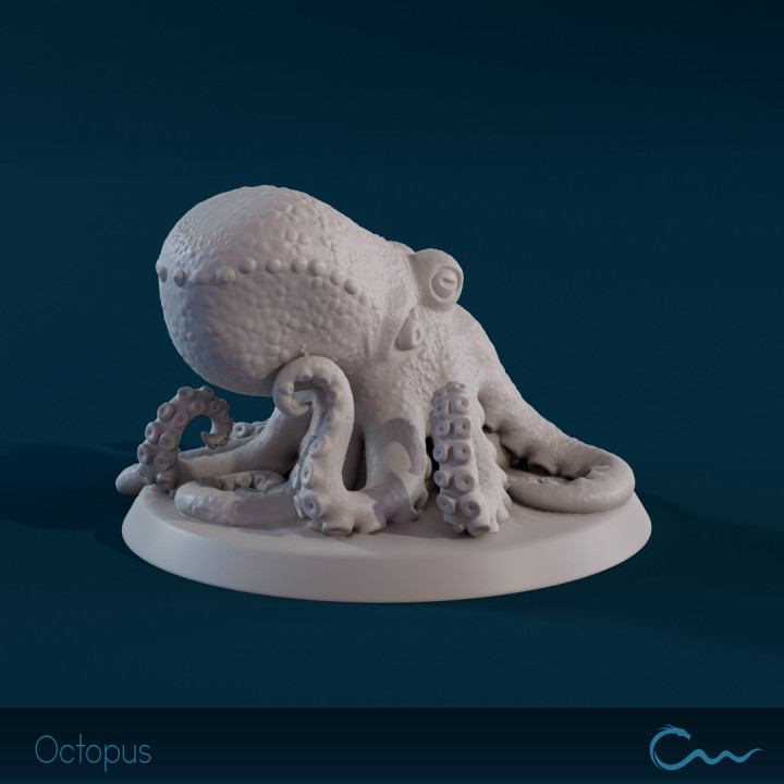3D Printable Octopus by The Cape Wyrm