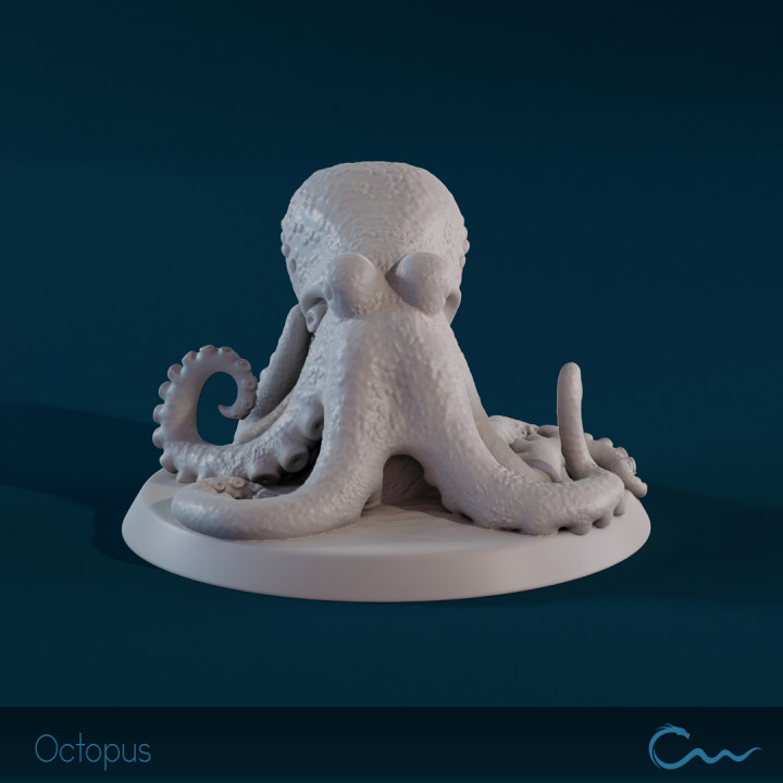 3D Printable Octopus by The Cape Wyrm
