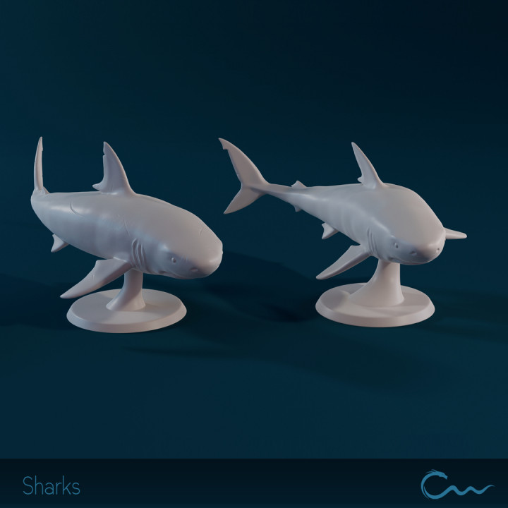 3D Printable Sharks by The Cape Wyrm