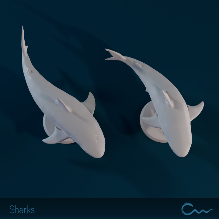 3D Printable Sharks by The Cape Wyrm