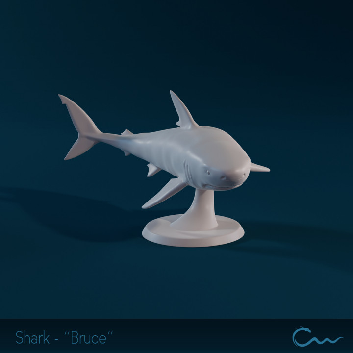 3D Printable Sharks by The Cape Wyrm