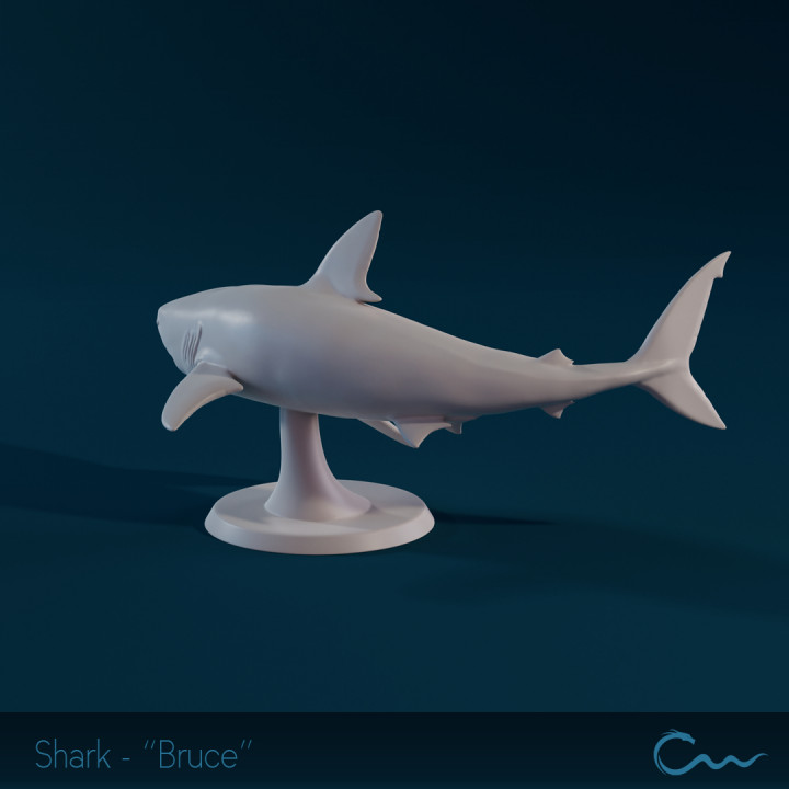3D Printable Sharks by The Cape Wyrm