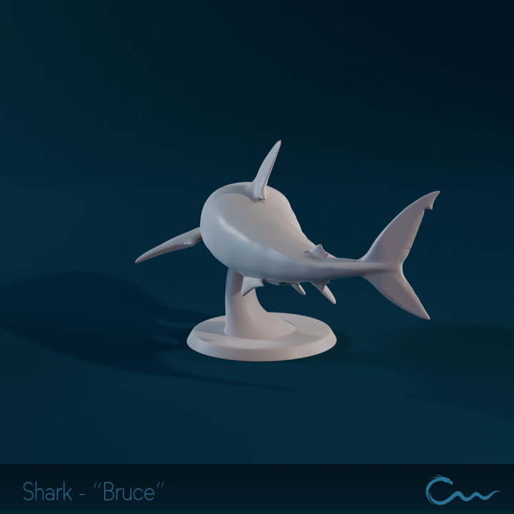 3D Printable Sharks by The Cape Wyrm