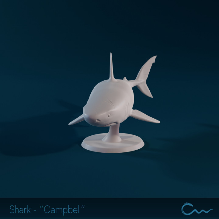 3D Printable Sharks by The Cape Wyrm
