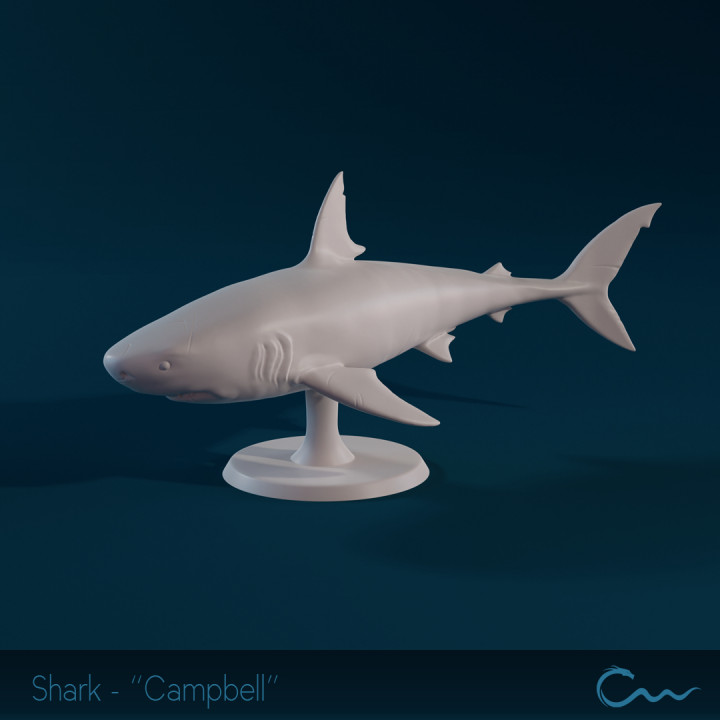 3D Printable Sharks by The Cape Wyrm