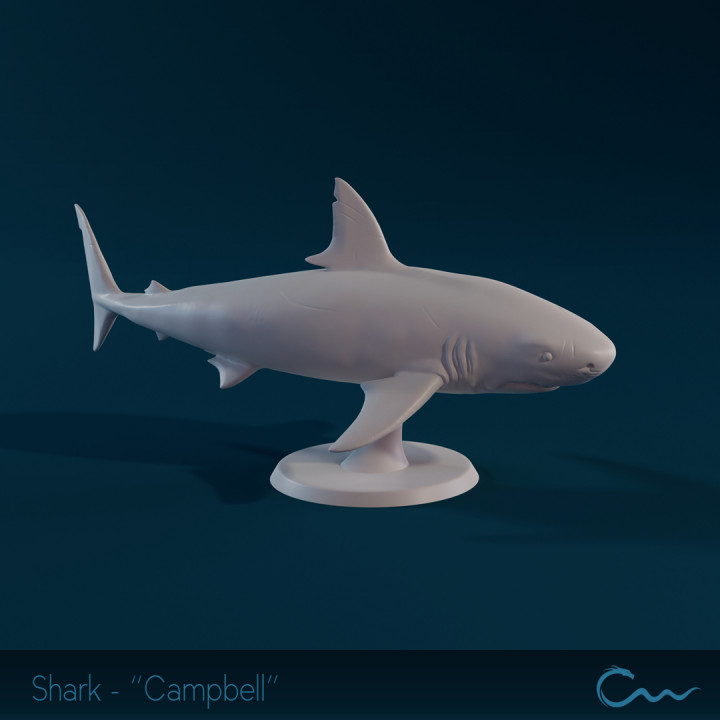 3D Printable Sharks by The Cape Wyrm