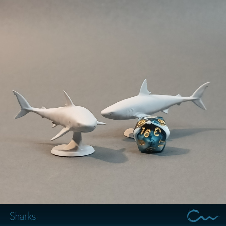 3D Printable Sharks by The Cape Wyrm