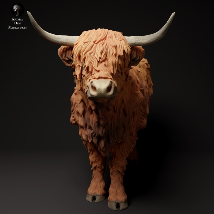 3D Printable Highland Cow by Animal Den Miniatures