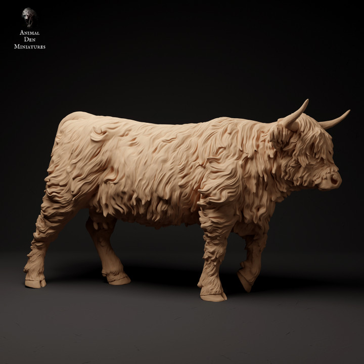 3D Printable Highland Cow Walk by Animal Den Miniatures