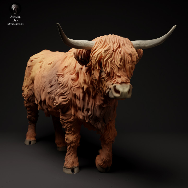 3D Printable Highland Cow Walk by Animal Den Miniatures