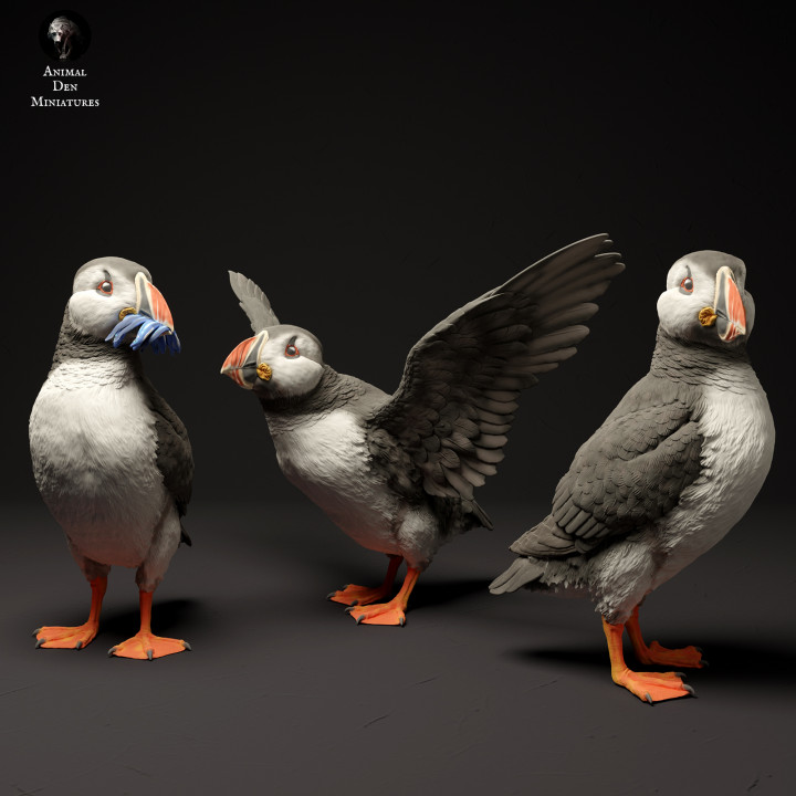 3D Printable Atlantic Puffins by Animal Den Miniatures