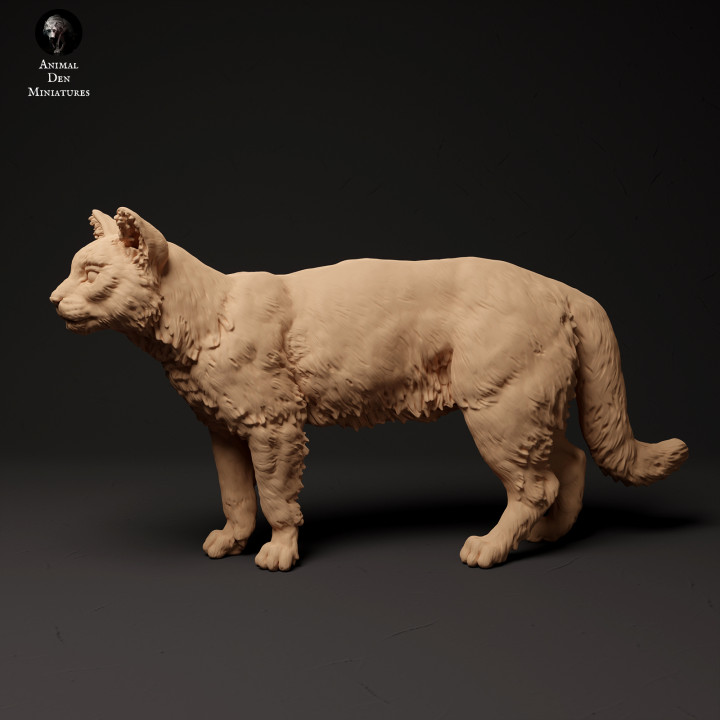 3D Printable Scottish Wildcat by Animal Den Miniatures